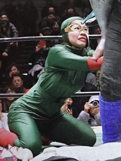 Doctor Poison No. 3 (Misaki Ohata) – 闘道館